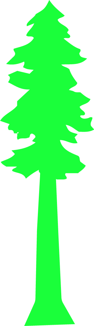 Tall Tree Design Lab